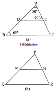 Class 10 – BSE Odisha