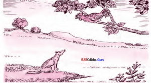 The Jackal and the Rooster Question Answer Class 7 English Chapter 2 ...