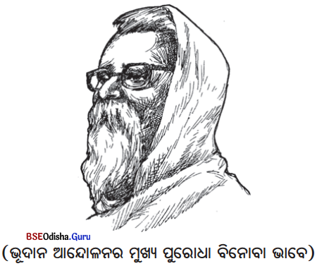 BSE Odisha 10th Class History Notes Chapter 18 କୃଷିର ବିକାଶ – BSE Odisha