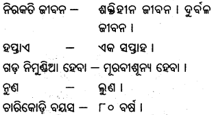 BSE Odisha 9th Class Odia Solutions Chapter 18 ଦଳବେହେରା – BSE Odisha