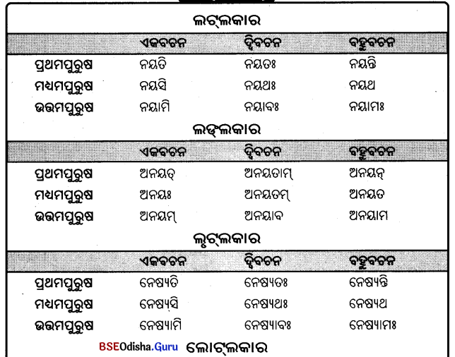 BSE Odisha 9th Class Sanskrit Grammar Solutions Chapter 9 ଧାତୁ ରୂପ ...