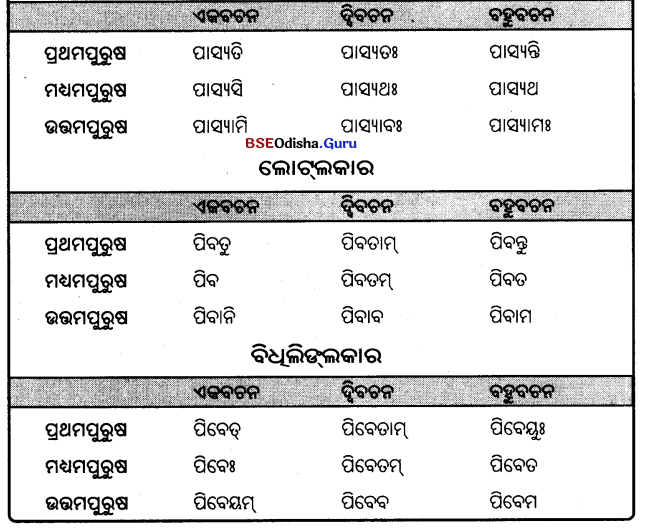 BSE Odisha 9th Class Sanskrit Grammar Solutions Chapter 9 ଧାତୁ ରୂପ ...
